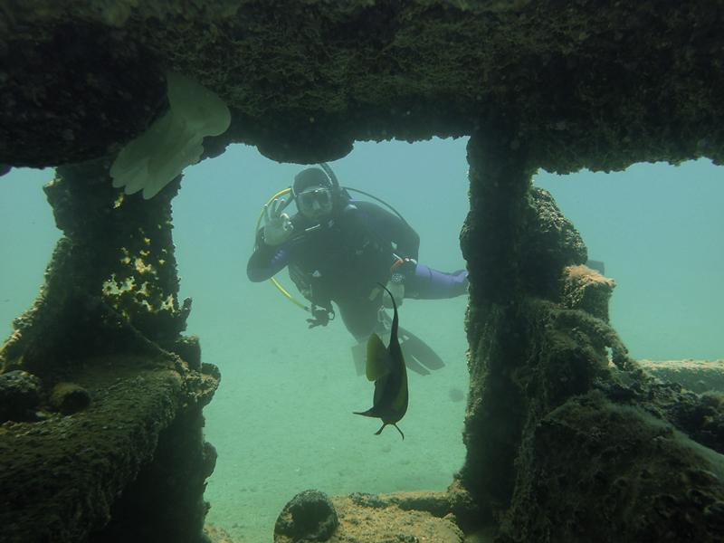 Scuba Diving to the Underwater Museum at Half Moon Beach | Hala Yalla