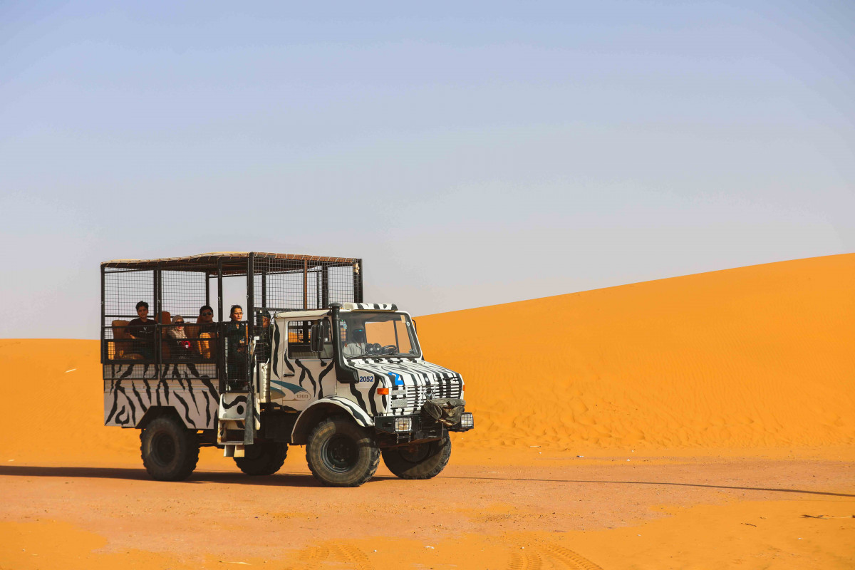 Unleash Your Inner Adventurer with a Full-Day Safari Tour at Nofa