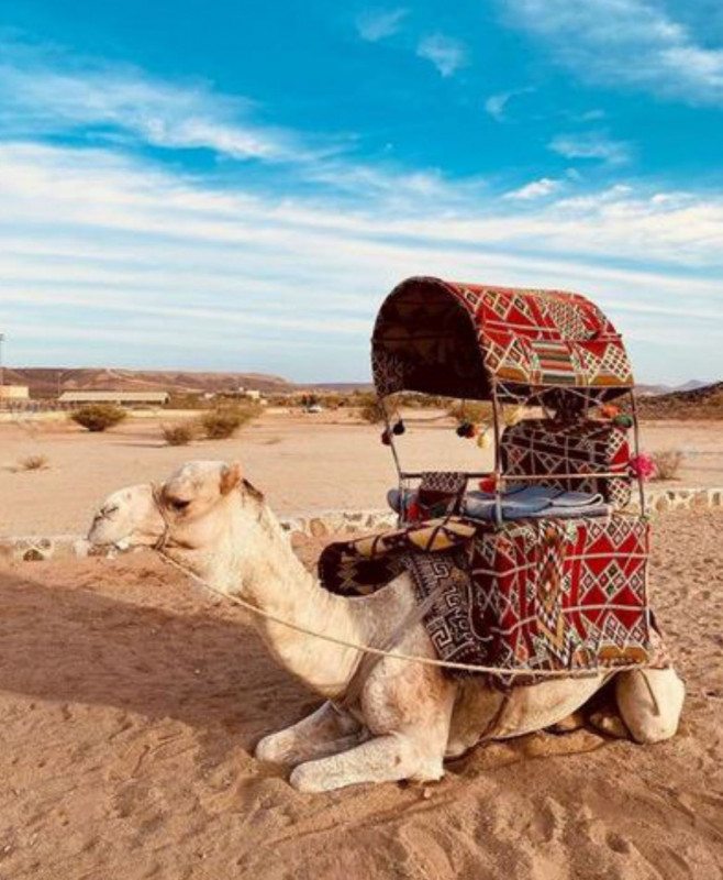 Hiking, Motocross, Horseback Riding, and More at Yazen Ranch